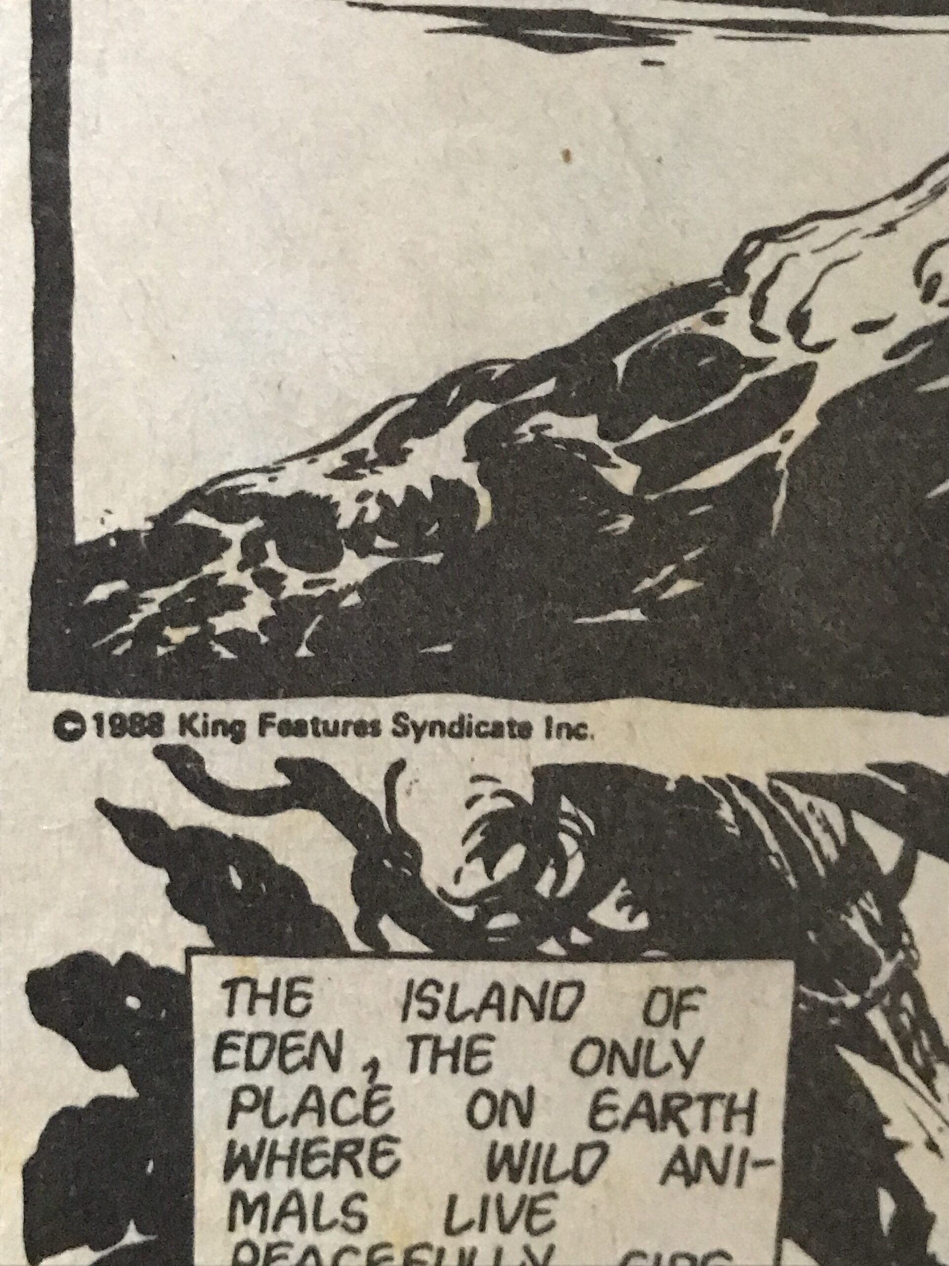 FREW PHANTOM COMIC #931-b - Promotional Reprint - X Marks The Shop